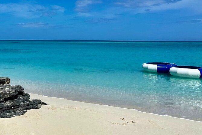 Swimming Pigs Encounter and Rose Island Beach Day Adventure - The Itinerary: What to Expect