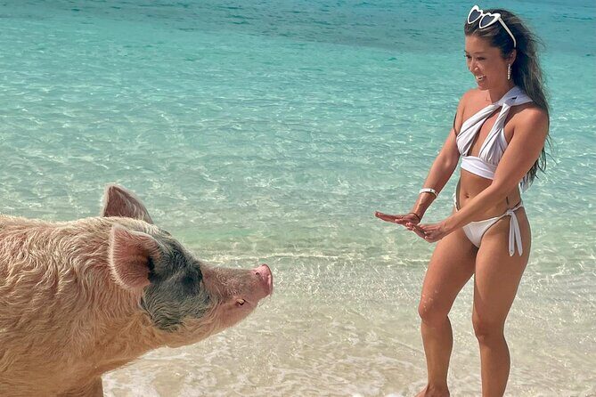 Swimming Pigs Encounter and Rose Island Beach Day Adventure - Timing and Practical Considerations