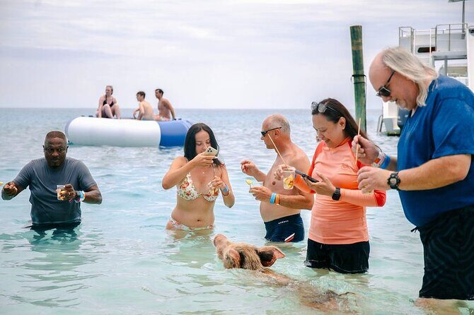 Swimming Pigs Of Rose Island & Beach Day - Group Tour - Who Should Consider This Tour?