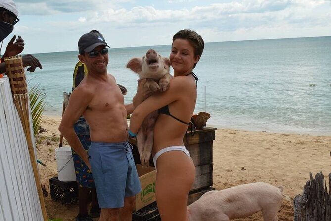 Swimming Pigs & Tour with Transportation to Rose Island - Who Will Love This Tour?