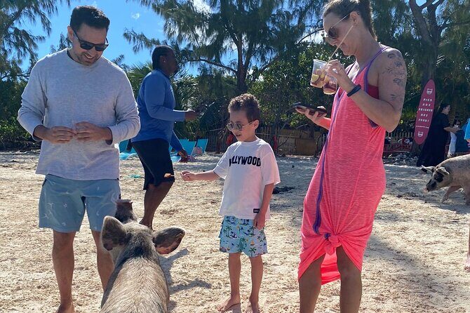 Swimming Pigs, Turtles & Reef Snorkel in Nassau-Champion Tours - The Experience from a Traveler’s Perspective