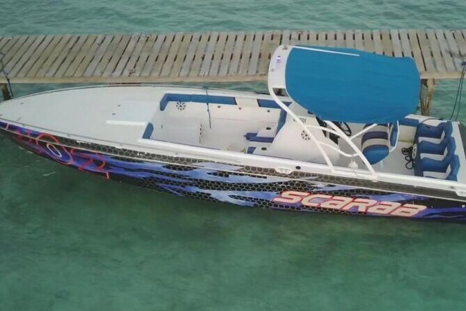 Swimming Pigs, Turtles & Reef Snorkel in Nassau-Champion Tours - Final Verdict