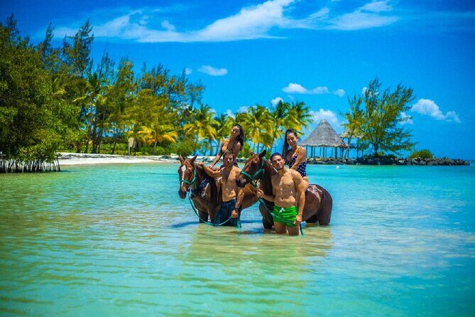 Swimming with Horses at the Beach from Punta Cana Free transportation - Key Points