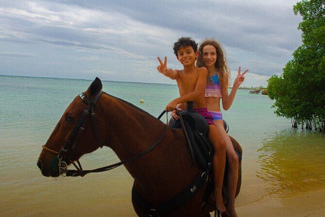 Swimming with Horses at the Beach from Punta Cana Free transportation - Conclusions: Is It Worth It?