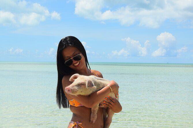 Swimming with Pigs in Nassau, Transportation Included - Who Will Love This Tour?
