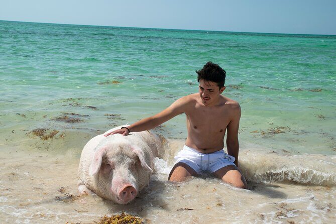 Swimming with Pigs in Nassau, Transportation Included - FAQ