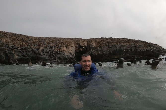 Swimming With Sea Lions in Lima - The Palomino Islands Adventure