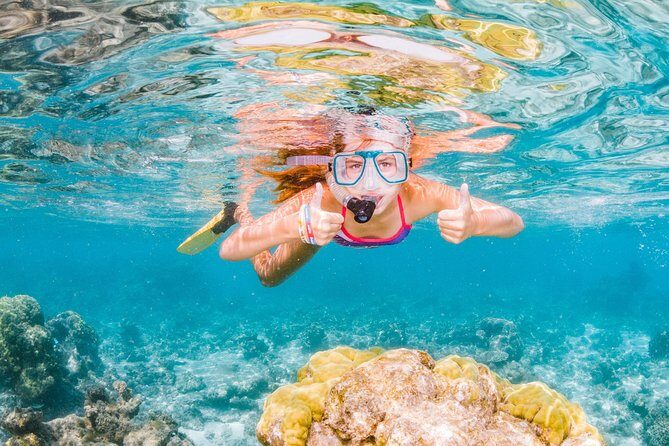 Swimming with the Whale Sharks - Ningaloo Reef (Exmouth) - Final Thoughts: Is It Worth It?
