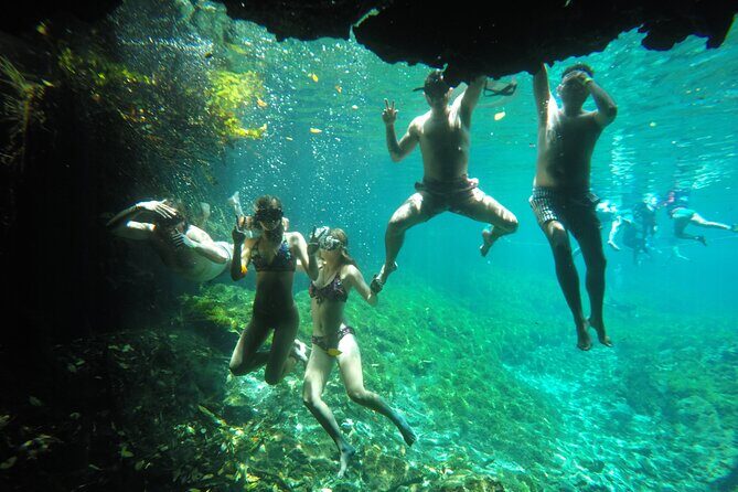 Swimming with turtles, 2 cenotes & gopro - The Sum Up