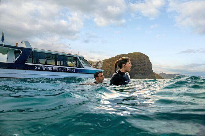 Swimming with Wild Dolphins in Akaroa - Key Points