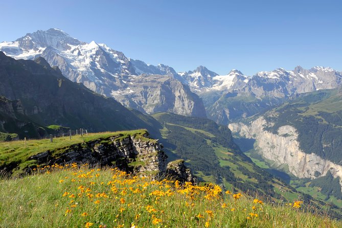 Swiss Alps: Interlaken and Grindelwald Day Trip From Zurich - Frequently Asked Questions