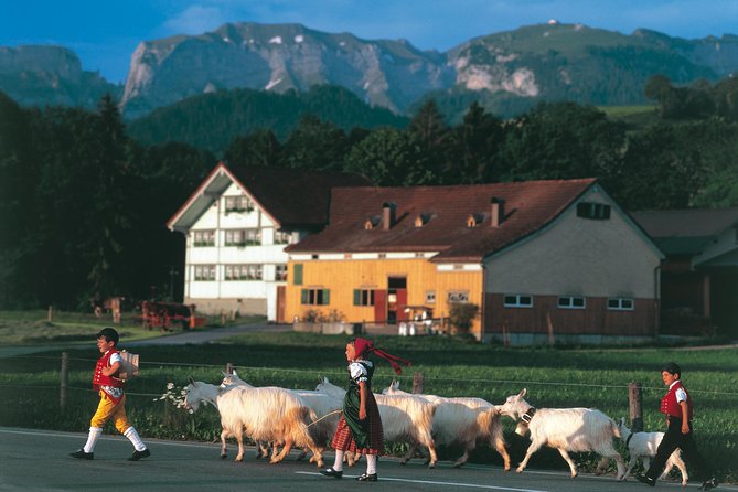 Swiss Cheese, Chocolates and Mountains Small-Group Tour From Zurich - Itinerary and Activities