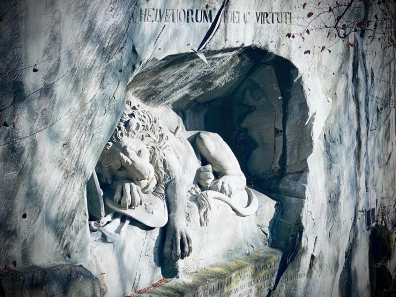 Swiss Chocolate Safari - Since You Asked