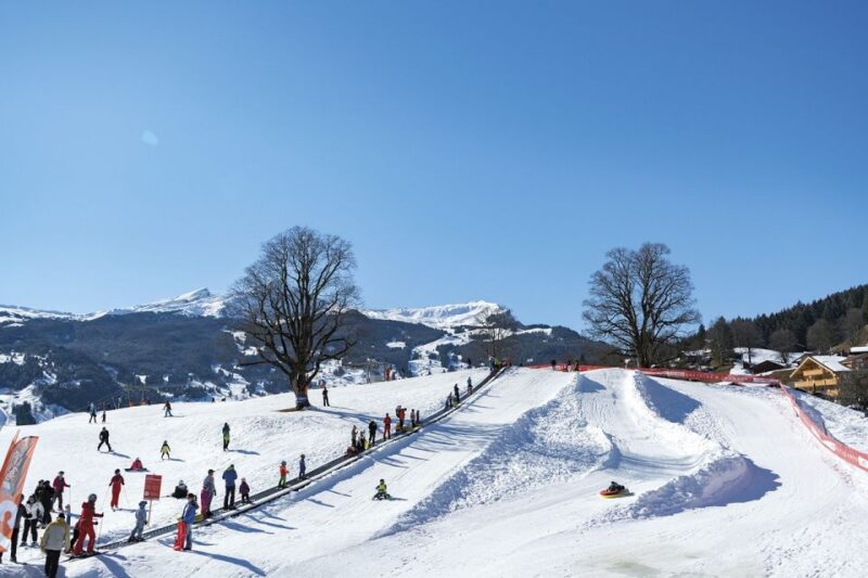 Swiss Ski Experience in the Jungfrau Region - Key Points