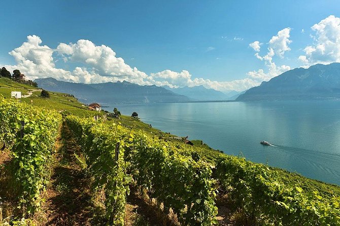 Swiss Wine Tasting at Lavaux Vineyards: Private Trip from Geneva - Transportation and Comfort