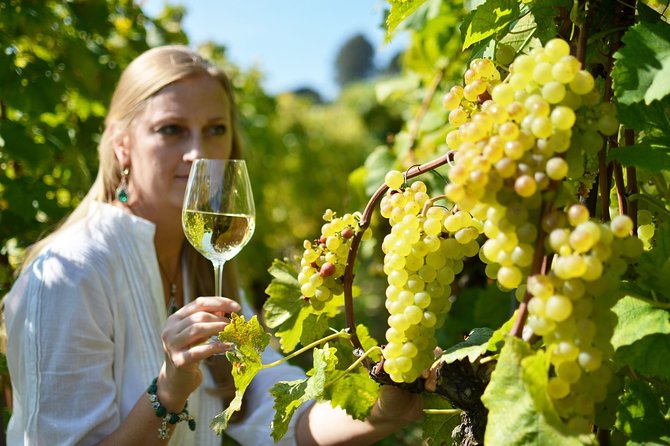 Swiss Wine Tasting at Lavaux Vineyards: Private Trip from Geneva - Pricing and Value