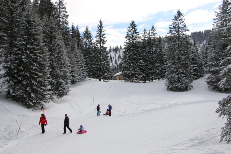 Switzerland: Private Sledging Day Tour - Important Notes