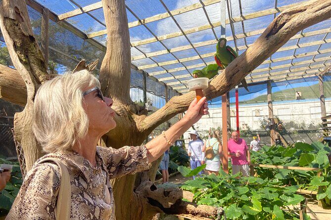 SXM Highlights: Beaches, Bites & Beautiful Views - Key Points