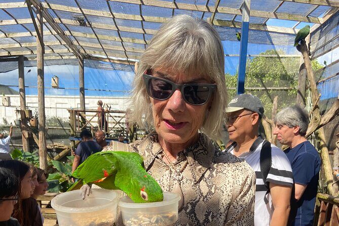 SXM Highlights: Beaches, Bites & Beautiful Views - Final Thoughts: Is This Tour for You?