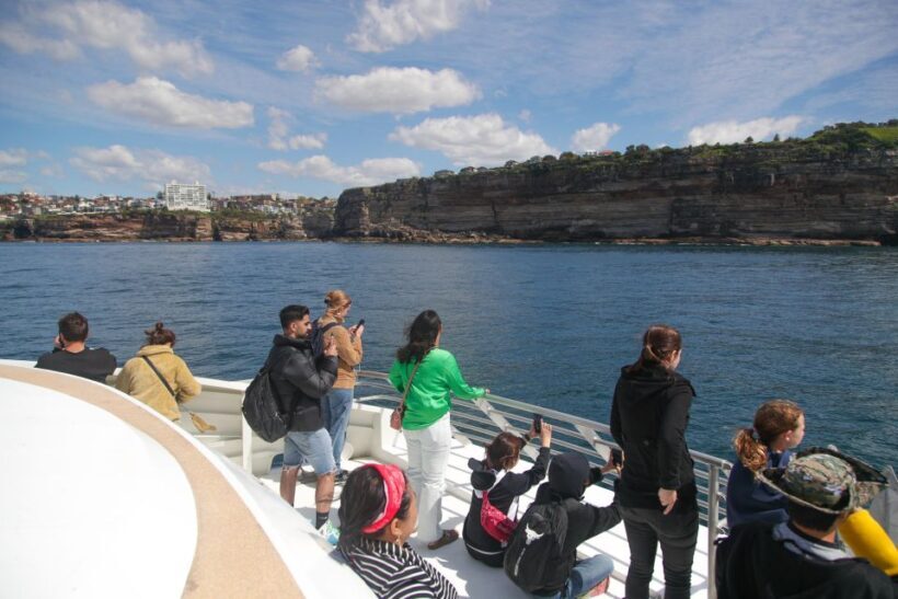 Sydney: 2.5-Hour Discovery Whale Watching Tour by Catamaran - A Closer Look at the Experience