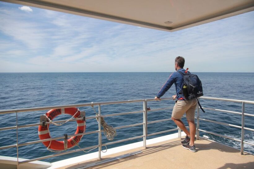 Sydney: 2.5-Hour Discovery Whale Watching Tour by Catamaran - Who Will Enjoy This Tour?