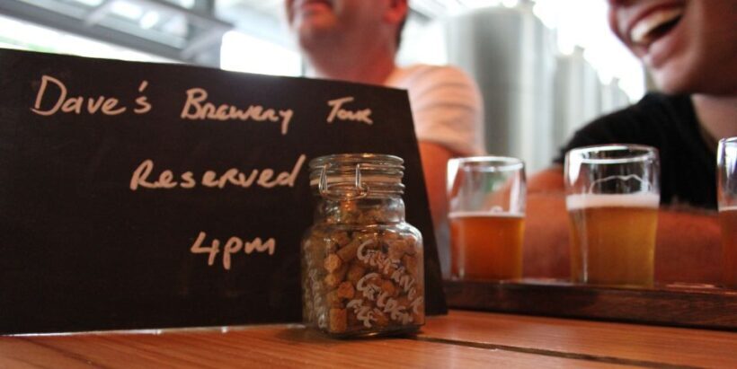 Sydney: 3-Hour Craft Beer and Breweries Tour - Who Will Love This Experience?