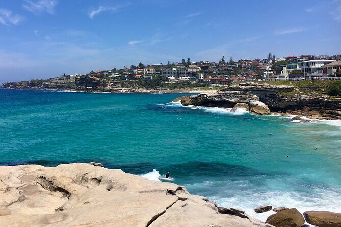Sydney Beaches Half Day Drive and Walk Tour - An In-depth Look at the Tour Itinerary