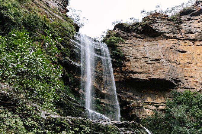 Sydney: Blue Mountains Day Tour with Wildlife Park & Waterfalls - Key Points