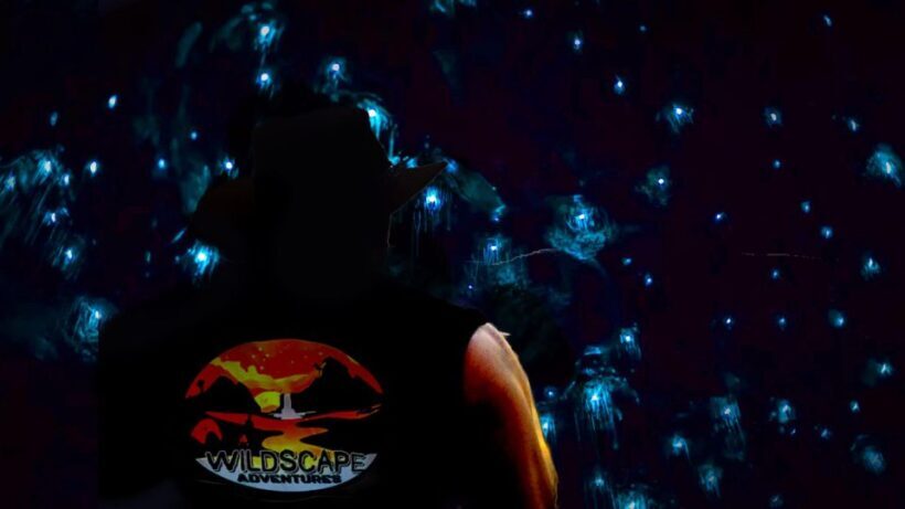Sydney: Blue Mountains Glow Worms Wild Adventure by Night - Key Points