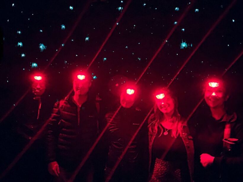 Sydney: Blue Mountains Glow Worms Wild Adventure by Night - The Sum Up