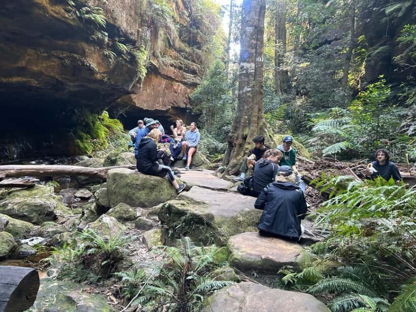 Sydney: Blue Mountains Guided Hike with Lunch & Pickup - Exploring the Blue Mountains Guided Hike with Lunch & Pickup: A Detailed Review