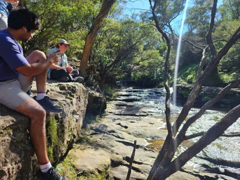 Sydney: Blue Mountains Guided Hike with Lunch & Pickup - Key Points