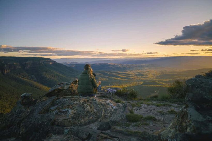 Sydney: Blue Mountains Kangaroos, Wilderness and Sunset Tour - Wildlife Encounters: Kangaroos in the Wild