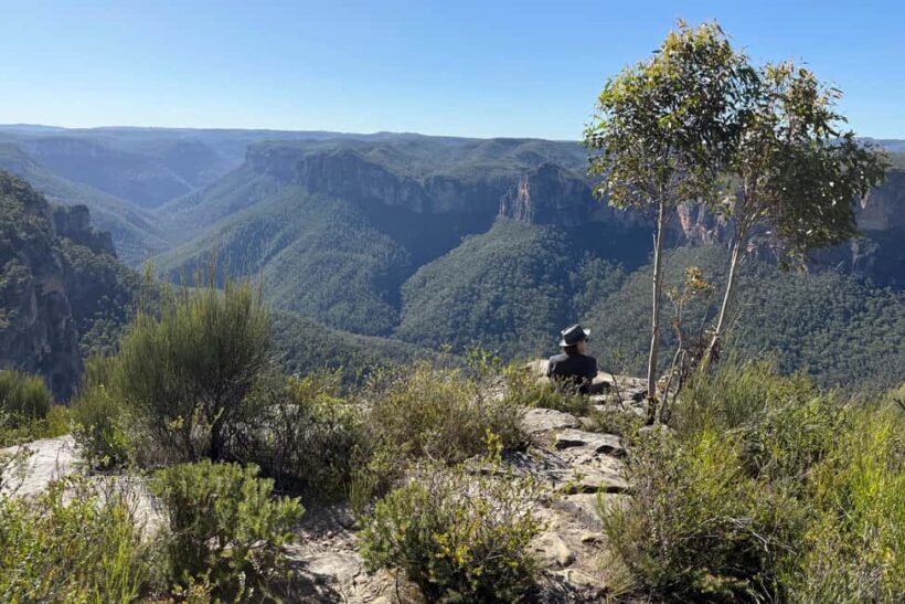 Sydney: Blue Mountains Kangaroos, Wilderness and Sunset Tour - Practical Details and Value