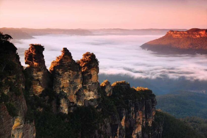 Sydney: Blue Mountains National Park Tour with River Cruise - The Value and Pricing