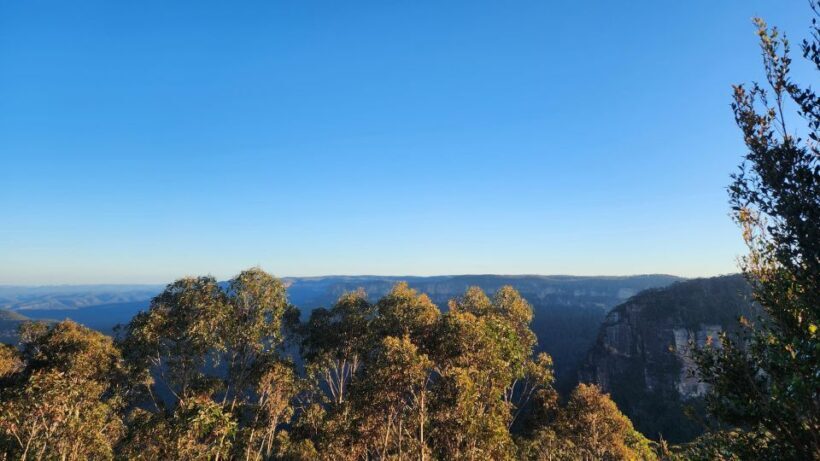 Sydney Blue Mountains, Scenic World, Featherdale - What to Expect at Each Stop