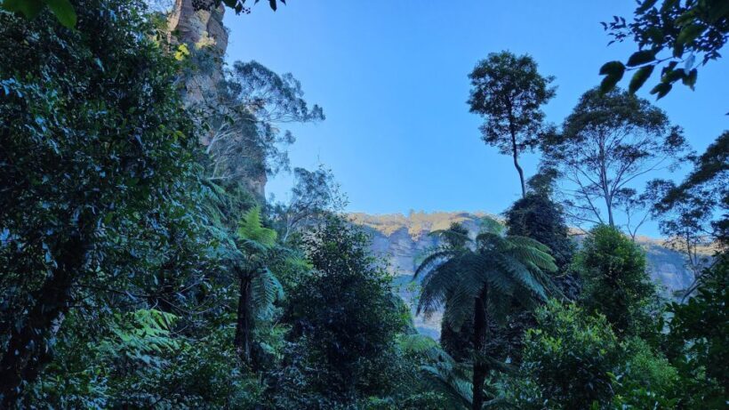 Sydney Blue Mountains, Scenic World, Featherdale - FAQ