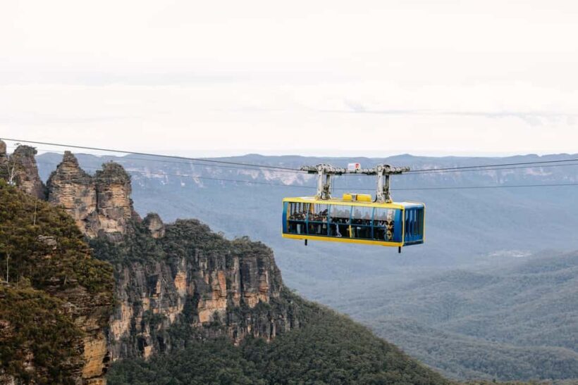 Sydney: Blue Mountains Scenic World, Wildlife Park and Lunch - What Makes This Tour Stand Out?