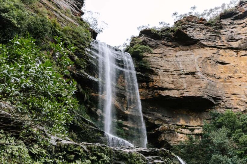 Sydney: Blue Mountains Tour with Wildlife Park & Waterfalls - Exploring the Blue Mountains: An Honest Look at This Popular Day Trip