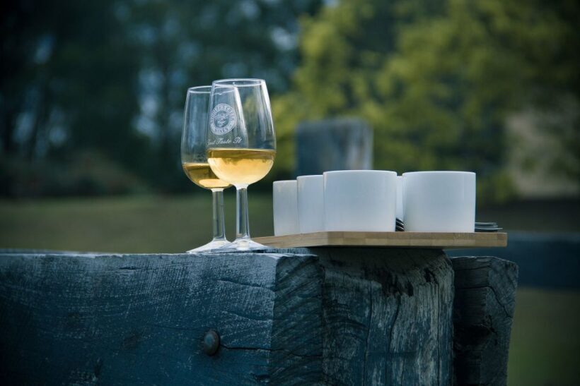 Sydney: Chef-Led Hunter Valley Food & Wine Tour - Exploring Hunter Valley’s Boutique Wineries