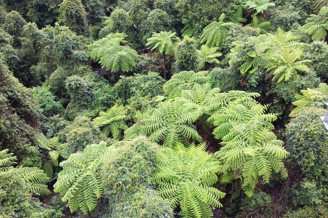 Sydney City and Blue Mountains in One Day Private Tour - Who Will Love This Tour?