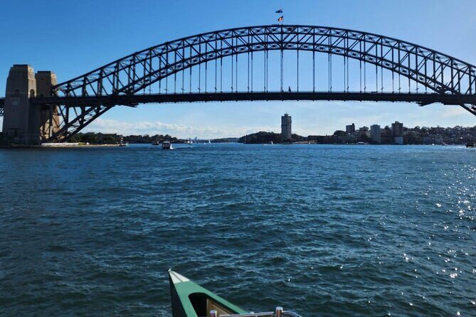 Sydney City and Surrounding Sightseeing Day Tour - Authentic Insights from Reviews
