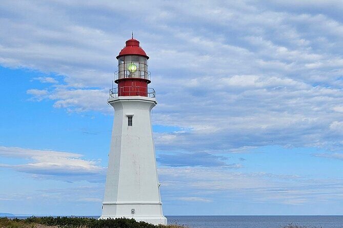 Sydney City & Coastline Tour - An Inside Look at the Sydney City & Coastline Tour