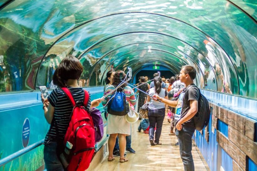 Sydney: Combo Pass for 2, 3, or 4 Top City Attractions - An In-Depth Look at the Sydney Combo Pass