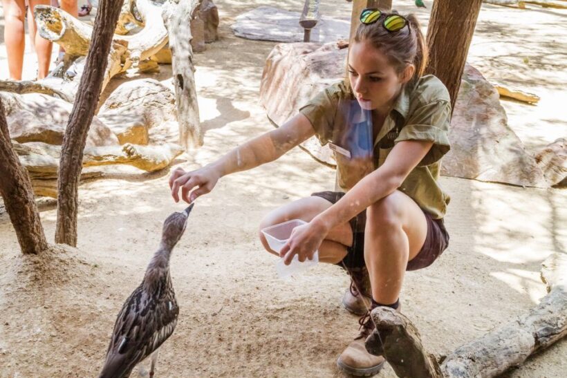 Sydney: Combo Pass for 2, 3, or 4 Top City Attractions - Who Should Consider This Pass?