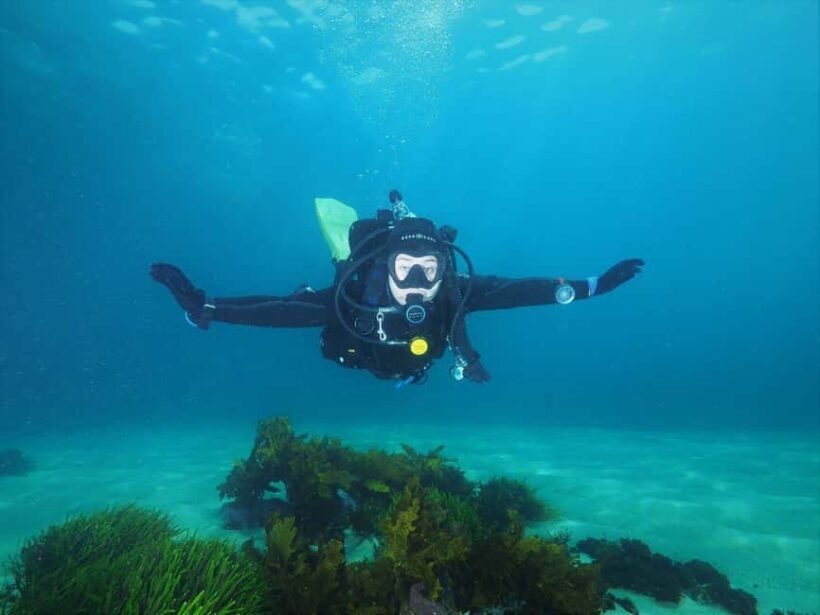 Sydney: Discover Scuba Dive at Australia's most Iconic Beach - Sydney: Discover Scuba Dive at Australias Most Iconic Beach
