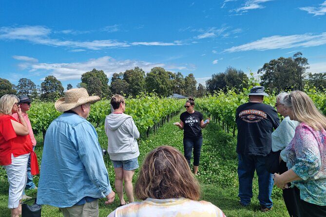 Sydney Grains and Grapes Hunter Valley Wine and Beer with Lunch - Final Thoughts