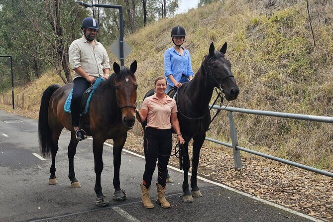 Sydney Guided Horse Ride Picnic - Key Points: What Makes the Sydney Guided Horse Ride Picnic Special