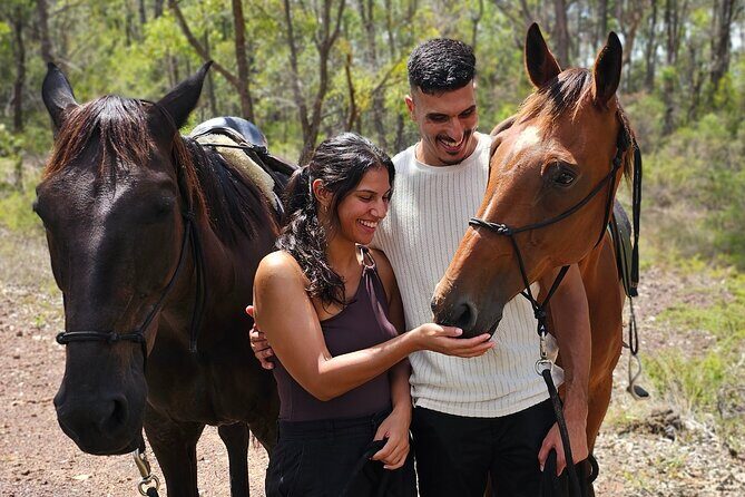 Sydney Guided Horse Ride Picnic - What the Tour Includes & What to Keep in Mind