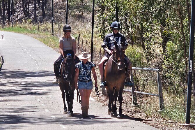 Sydney Guided Horse Ride Picnic - Authentic Insights & Guest Feedback